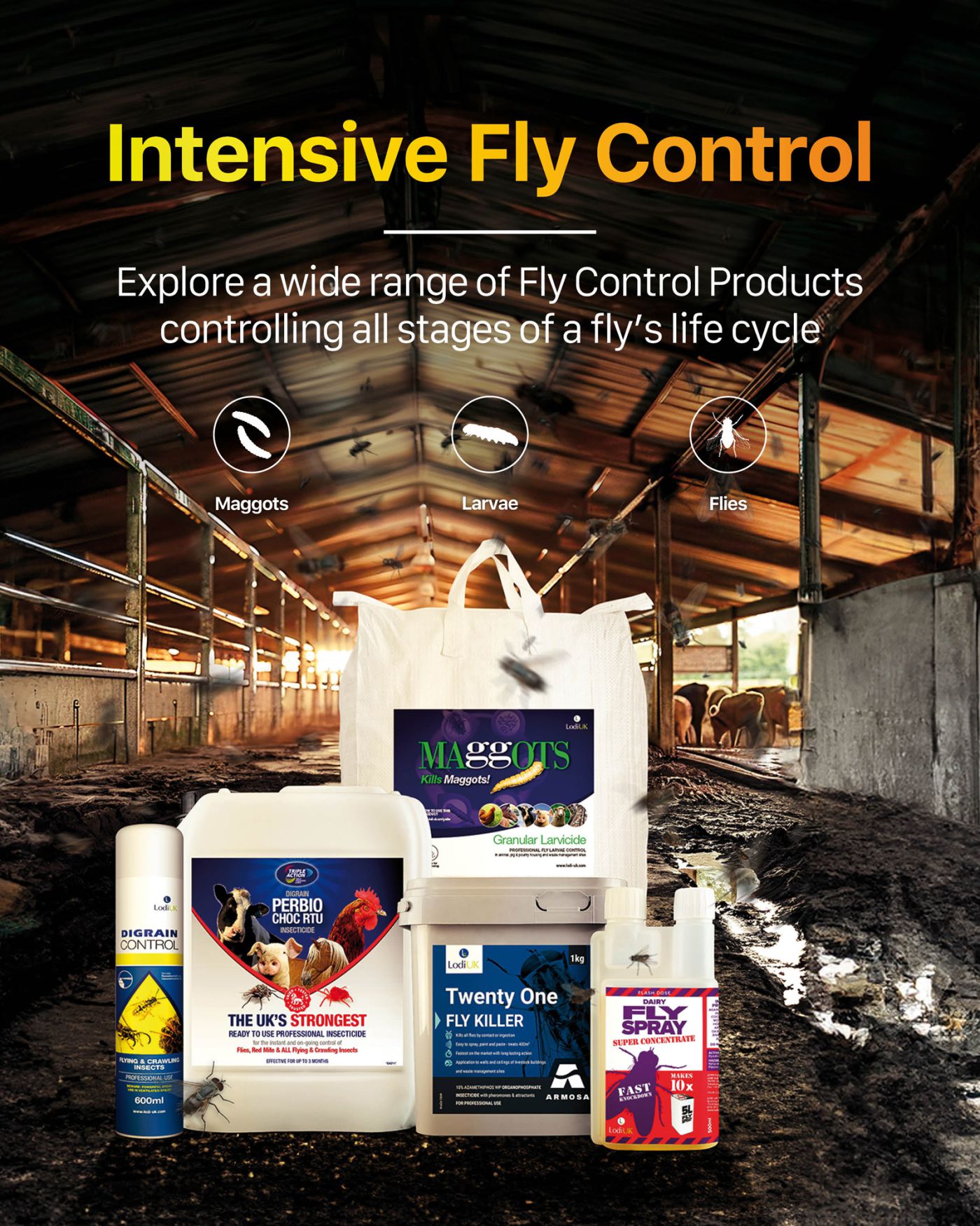 High Quality Pest Control Products - Lodi UK