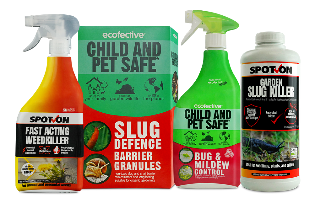 Consumer Pest Control - Lodi UK