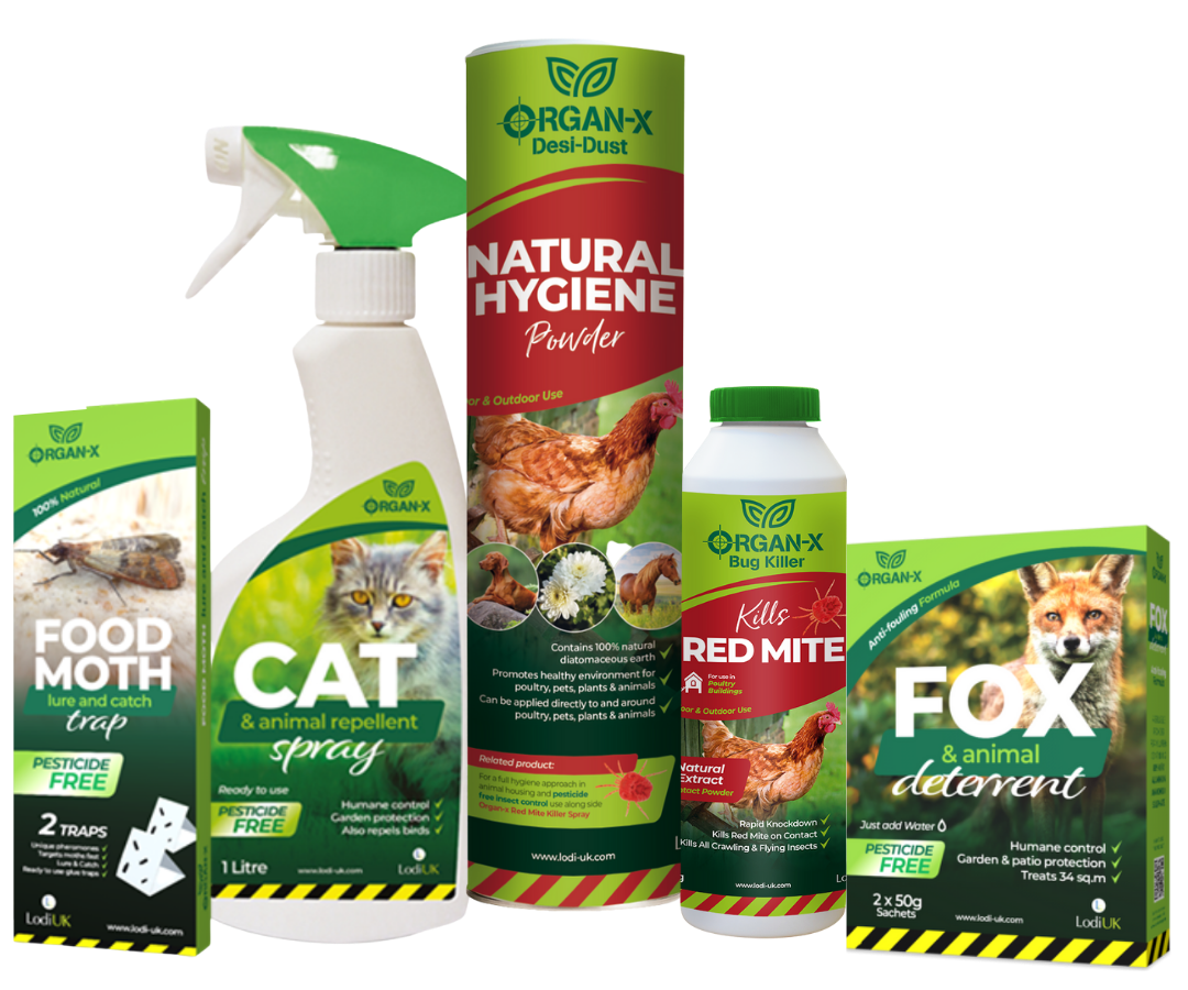 Consumer Pest Control - Lodi UK