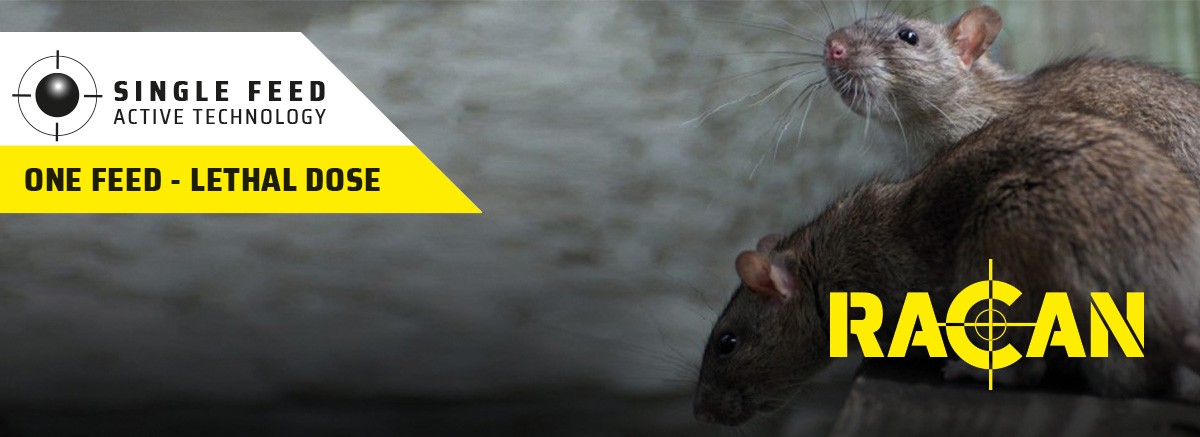 Racan Rodent Control: Racan Force - Lodi UK