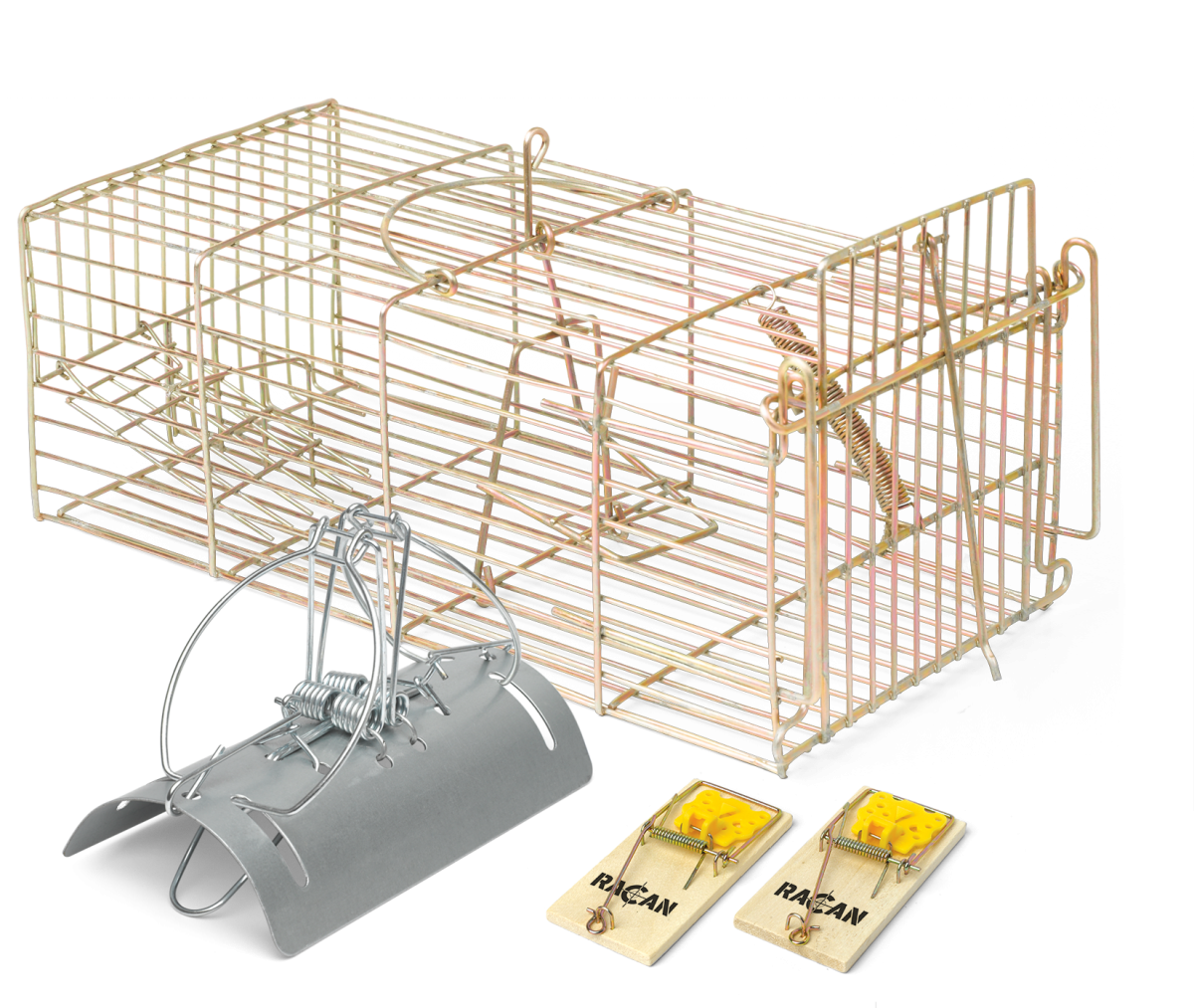 Consumer Pest Control - Lodi UK