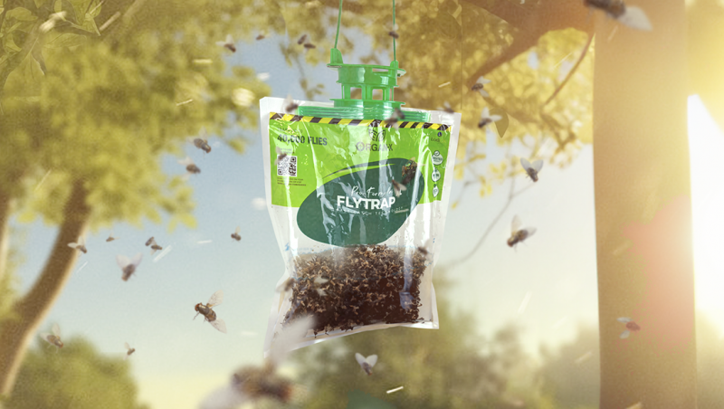 High Quality Pest Control Products - Lodi UK