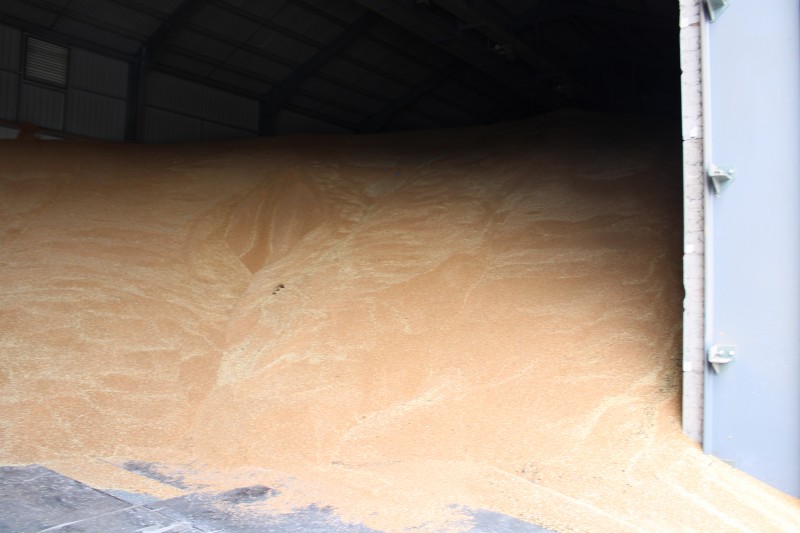 5 top tips to protect grain stores from rodents - Lodi UK