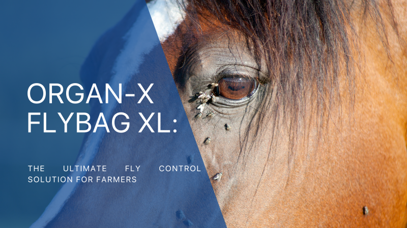 High Quality Pest Control Products - Lodi UK