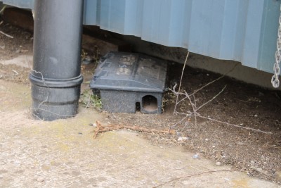 5 top tips to protect grain stores from rodents - Lodi UK