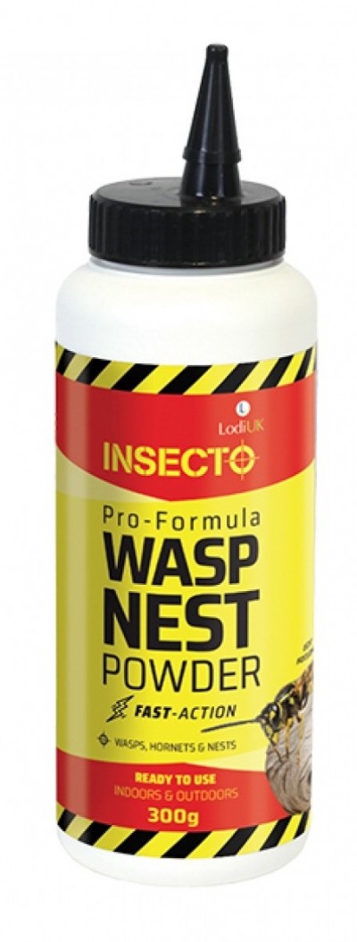 Wasp Nest Spotted In Cistern - Lodi UK