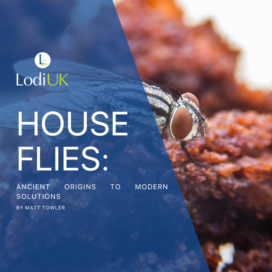 House Flies - Lodi UK