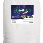 Maggots 20kg - Lodi UK