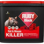 Ruby Blocks - Lodi UK