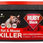 Ruby Blocks - Lodi UK