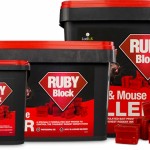 Ruby Blocks - Lodi UK