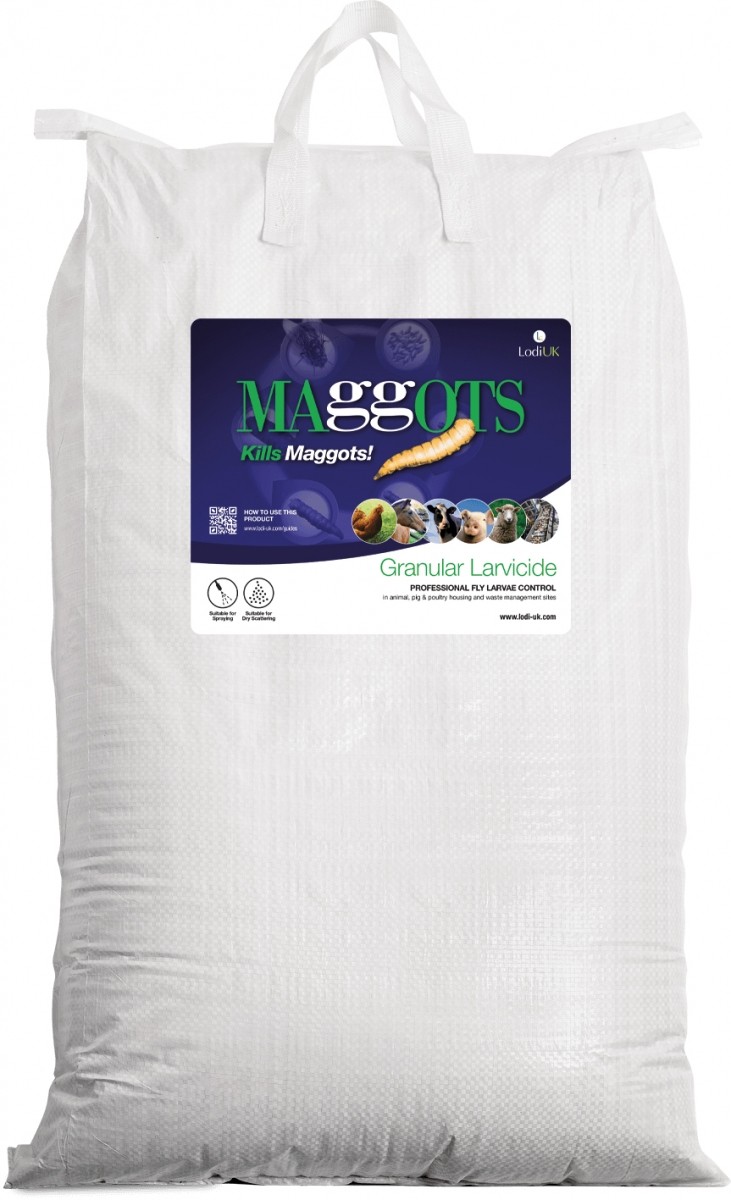 Maggots 20kg - Lodi UK
