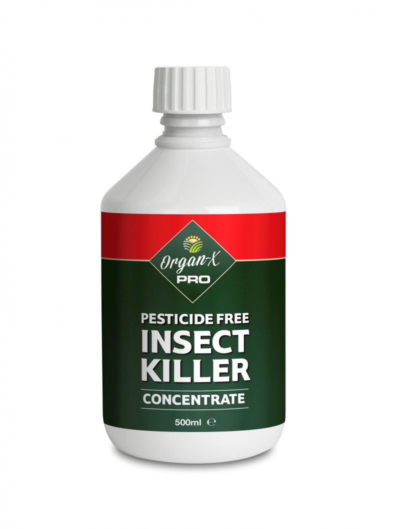 Organ-X Pro Insect Killer Concentrate - Lodi UK