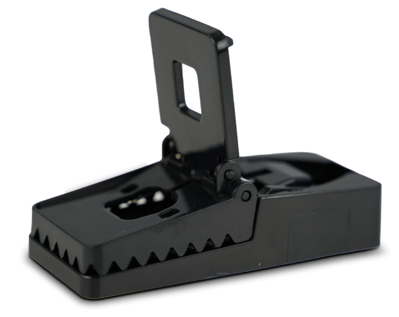 Racan Advanced Mouse Trap - Lodi UK