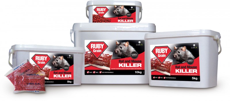 Ruby Grain - Lodi UK