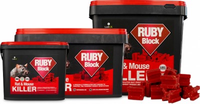 Ruby Blocks - Lodi UK
